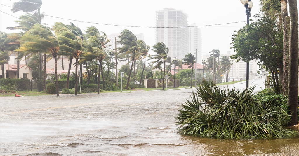 Important Differences Between Flood and Windstorm Insurance. Is Your ...
